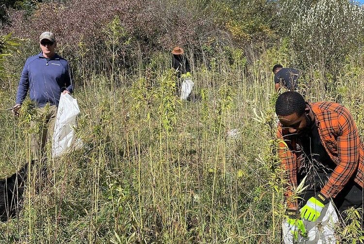 Hemp Heals: The Superfood Benefits of Hemp | by PLANT Group 🌱 | Medium