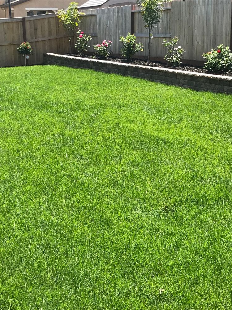 Sacramento Sod Installation | Service Joy Landscaping ...