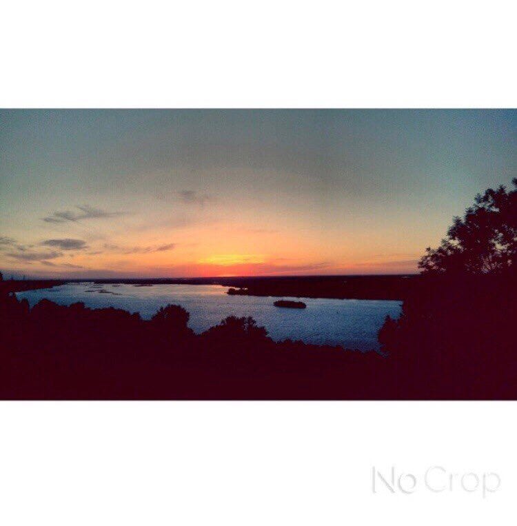 Hello,guys 🌻. A few days my good friend Alina gave me… | by Ann Kotova | Medium