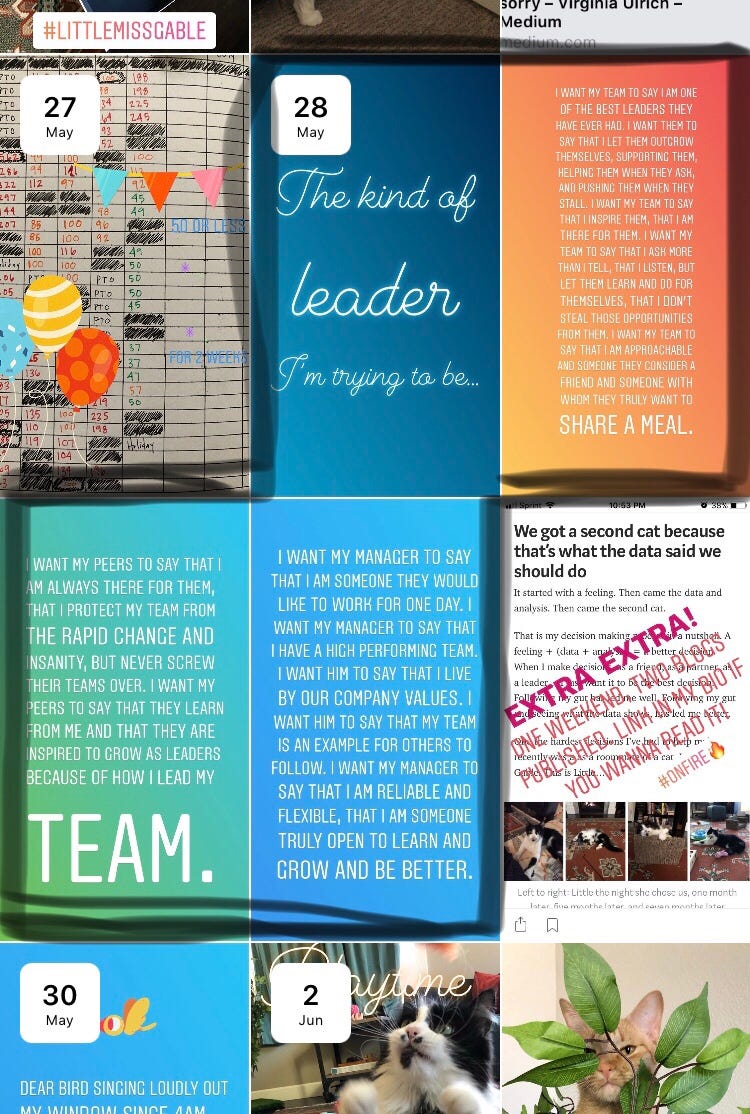 Serving as a leader? Write a manifesto | by Virginia Ulrich | Medium