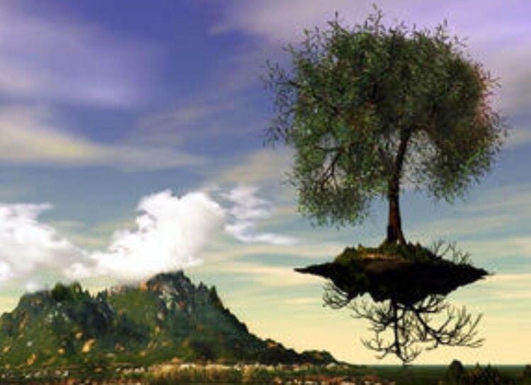 The Flying Tree - The Moon Iris - Medium