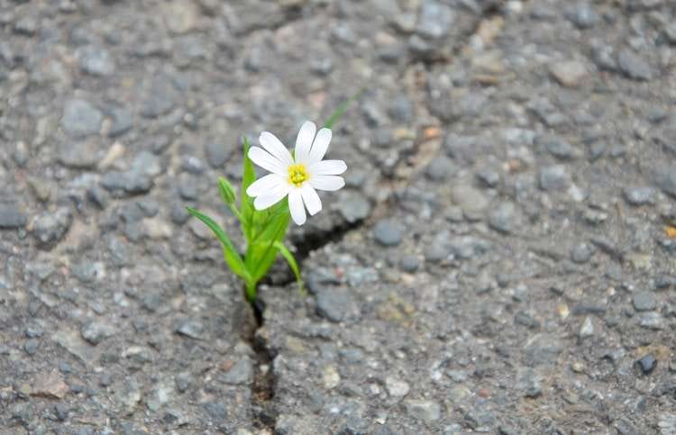 5 key strategies for dealing with life’s hardships | by Valery Molone ...