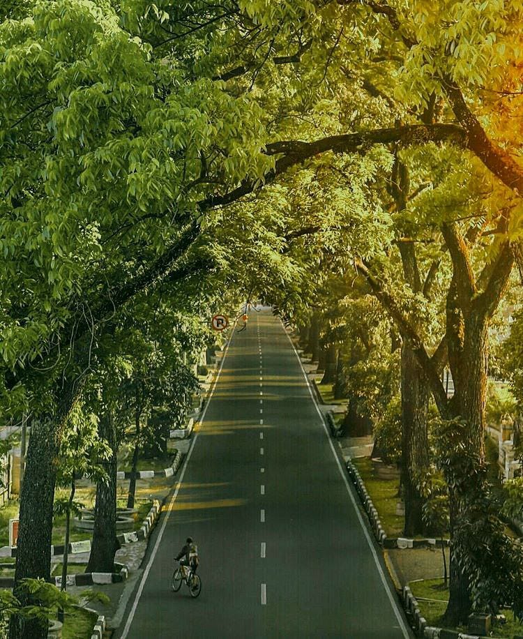 Bandung, The City That Could Have Been Indonesia’s Capital | by ...