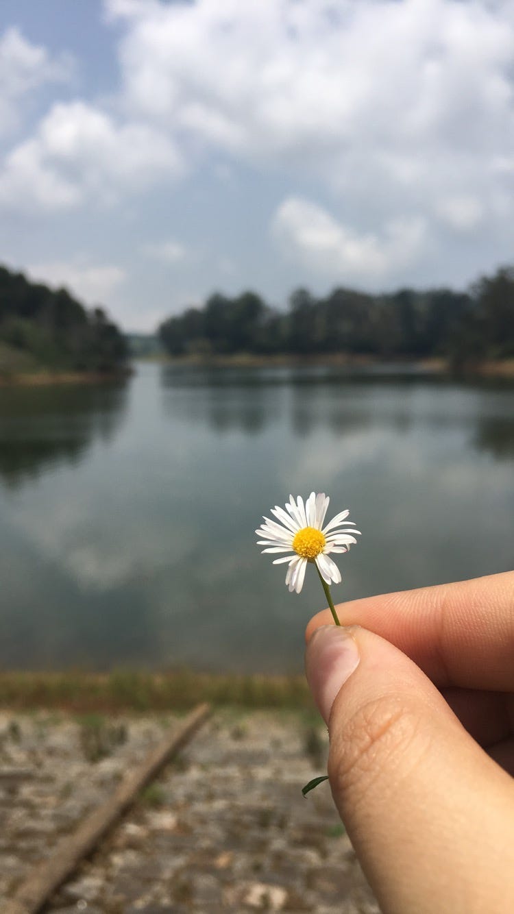 What Does It Mean To Live Authentically In A Power-Hungry World? | by Nayanika Das | Oct, 2024 ...