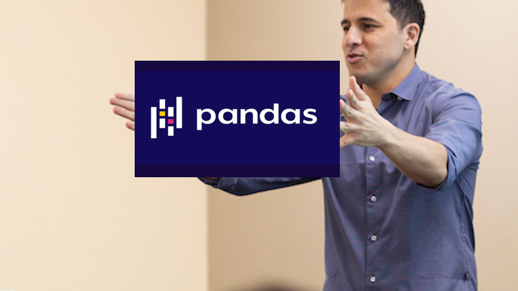 What is pandas? — Master Data Analysis with Python Chapter 1 | by Ted Petrou | Dunder Data | Medium
