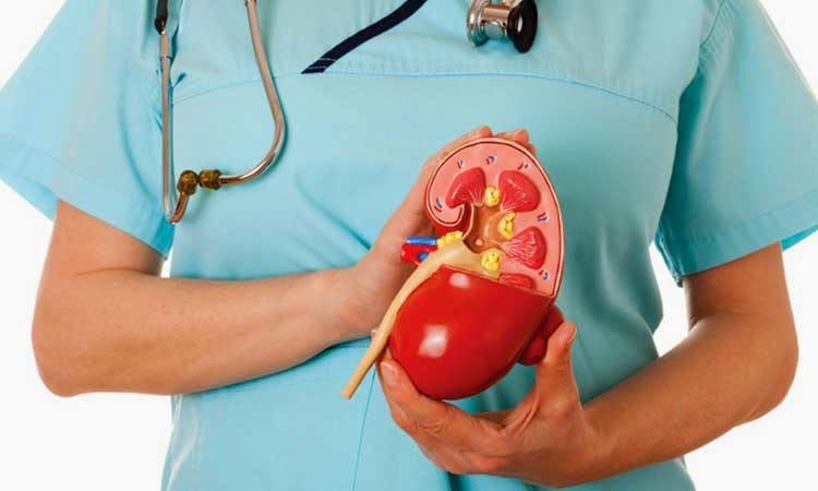 Laparoscopic Surgery for Kidney Diseases - Urologistindiachennai - Medium