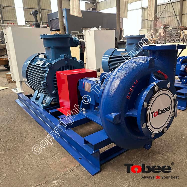 Tobee® Mission Magnum 8x6x14 Centrifugal Pump Units - Elsa Dou - Medium