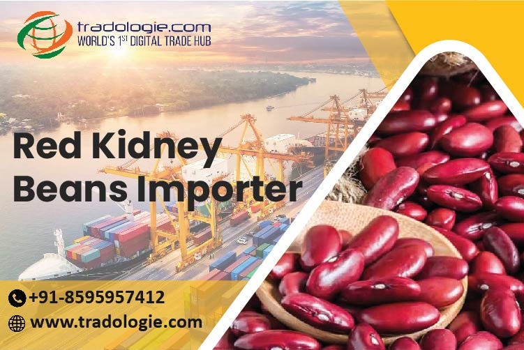 Red Kidney Beans Importer - Tradologie - Medium