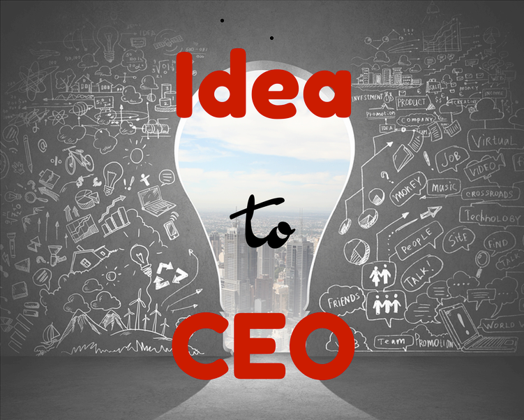 Idea to CEO. Blog series about my journey as an… | by Neelam ...