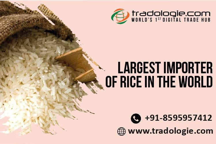 Largest Importer Of Rice In The World - Tradologie - Medium