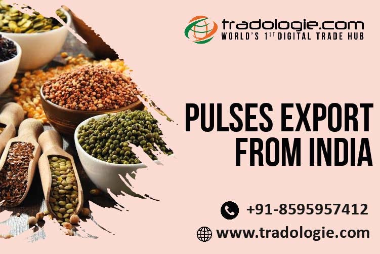 Pulses Export From India - Tradologie - Medium