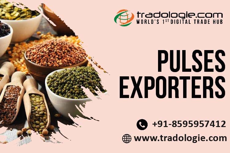 Pulses Exporters - Tradologie - Medium