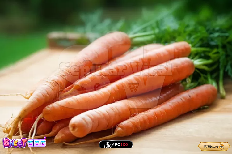 Benarkah Salad Wortel Bisa Menyeimbangkan Hormon? Ini Kata Dokter | by Seputar Viral | Medium