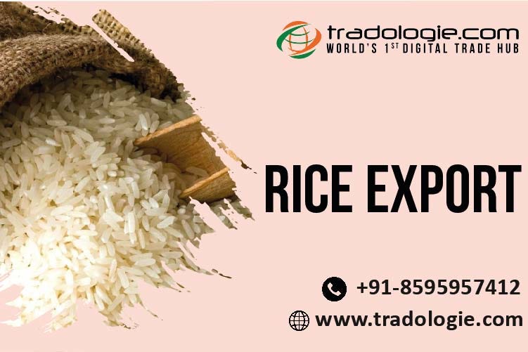 Rice Export - Tradologie - Medium