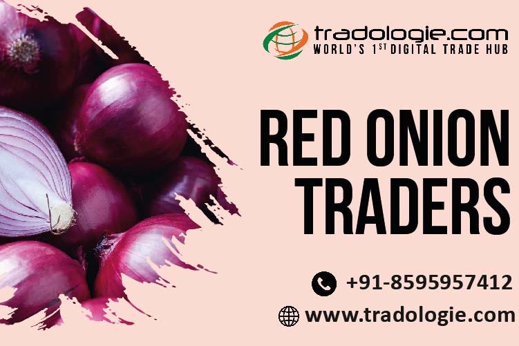 Red Onion Traders - Tradologie - Medium