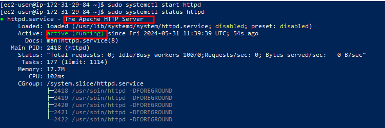 Apache Web Server. Apache Web Server (Apache) | by Travis Woodland ...