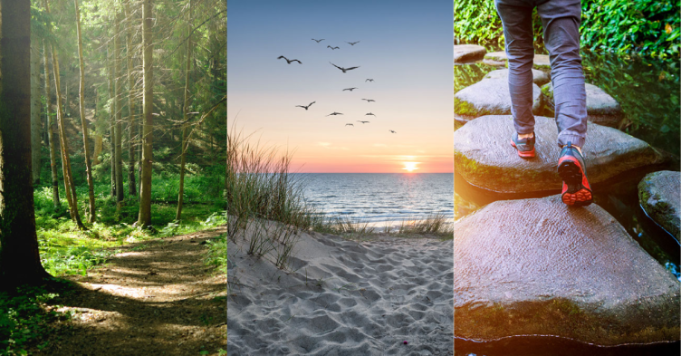 The positive mental health and wellbeing benefits of green and blue ...