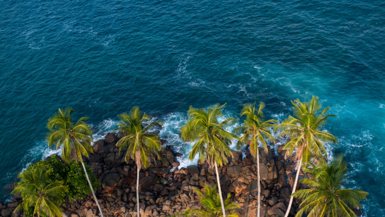 9 Best Beaches To Visit In India For a Relaxing Vacation | by TripzyGo ...