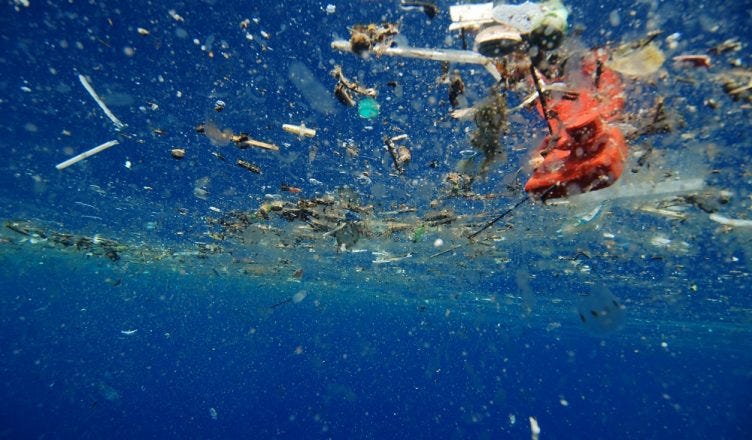 The Detrimental Effect of Overusing Plastic | by Karen Ho | Medium