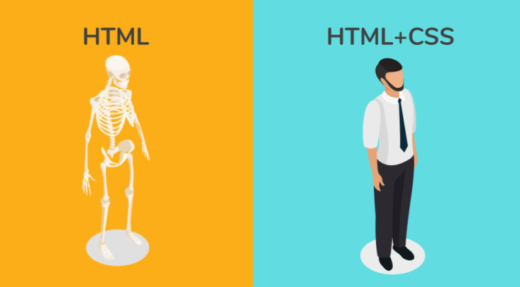 Mastering the Fundamentals: A Beginner’s Guide to HTML and CSS | by Yuvaraj vemula | Jun, 2023 ...