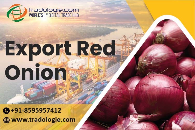 Export Red Onion - Tradologie - Medium