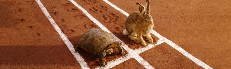 Mixed Signal Verification — Removing the Tortoise from the race | by ...
