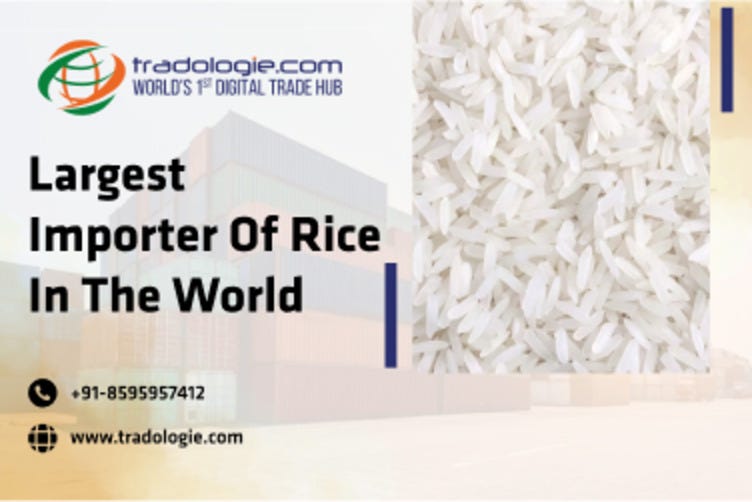 Largest Importer Of Rice In The World | by Tradologie | Medium