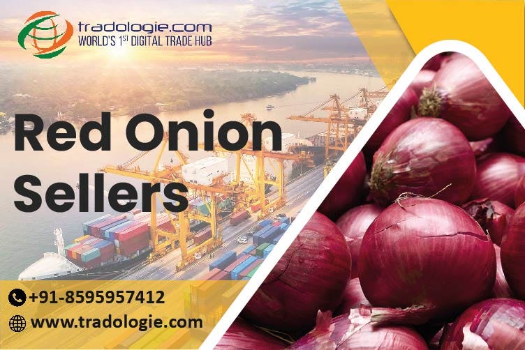 Red Onion Sellers - Tradologie - Medium