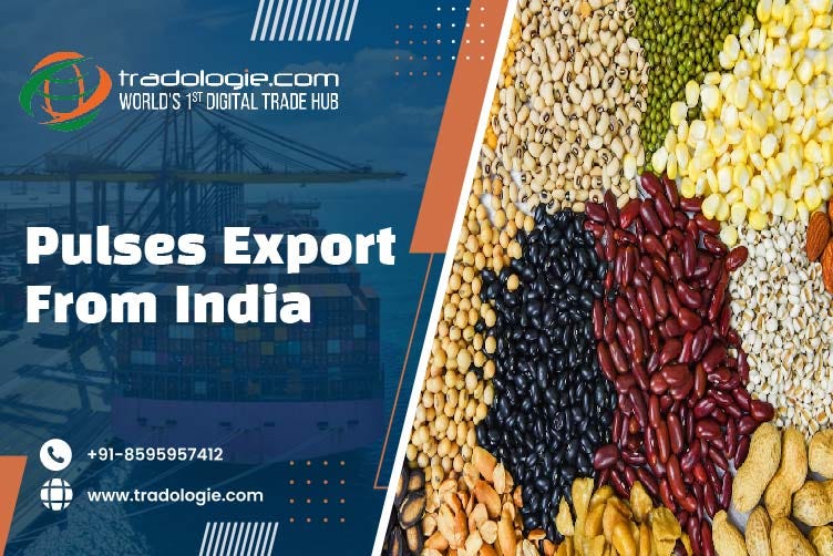 Pulses Export From India - Tradologie - Medium