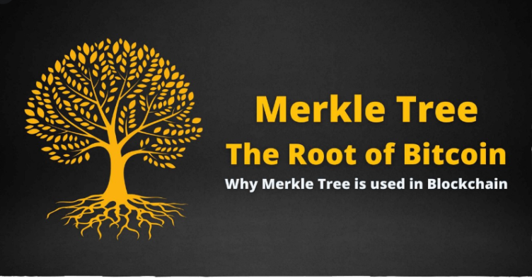 Merkle Trees and Their Application in Bitcoin. | by Idogwu Chinonso | Medium