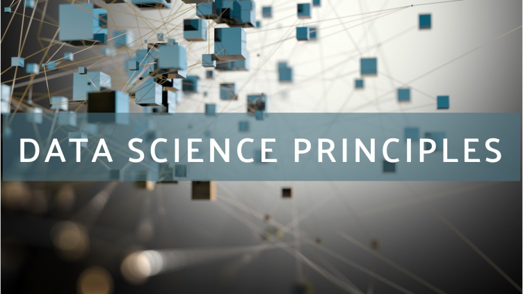 How to Be a Great Data Scientist: 21 Principles for Data Scientists and ...