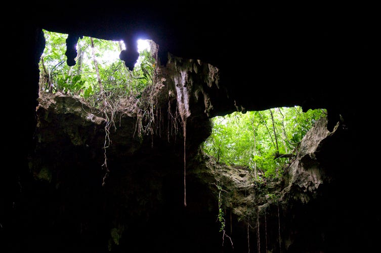 Find the trap BEFORE you fall in! | by Arthur Navarrette | Medium