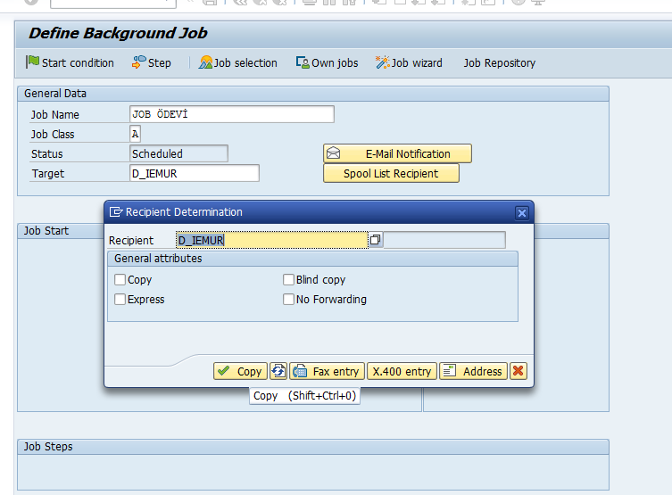 SM36-SM37 TCODE JOB TANIMLAMA. SM36, SAP’de arka plan işleri… | by Abdullah | Medium