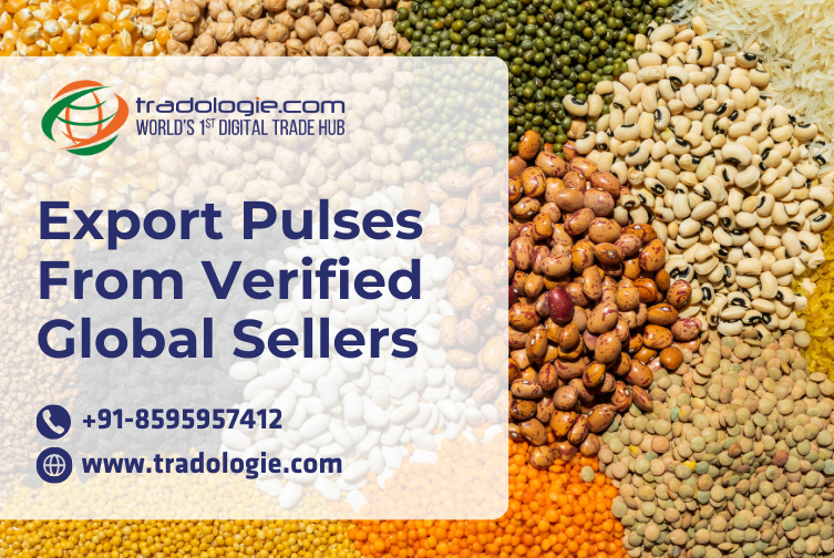 Export Pulses from Verified Global Sellers - Tradologie - Medium