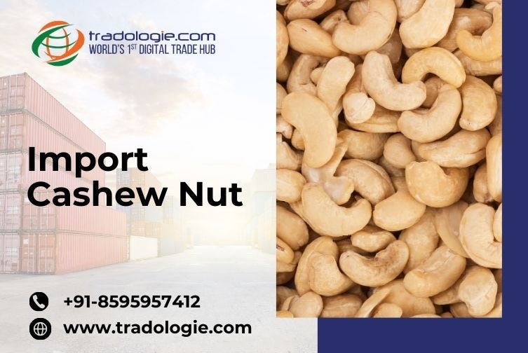 Import Cashew Nut - Tradologie - Medium