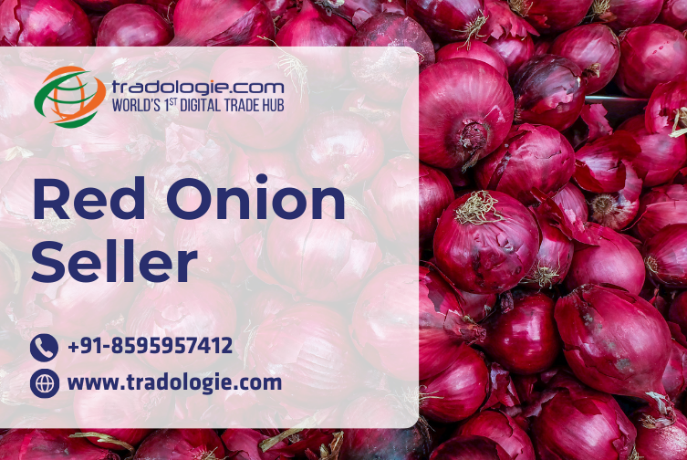 Red Onion Seller - Tradologie - Medium