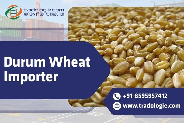 Durum Wheat Importer - Tradologie - Medium
