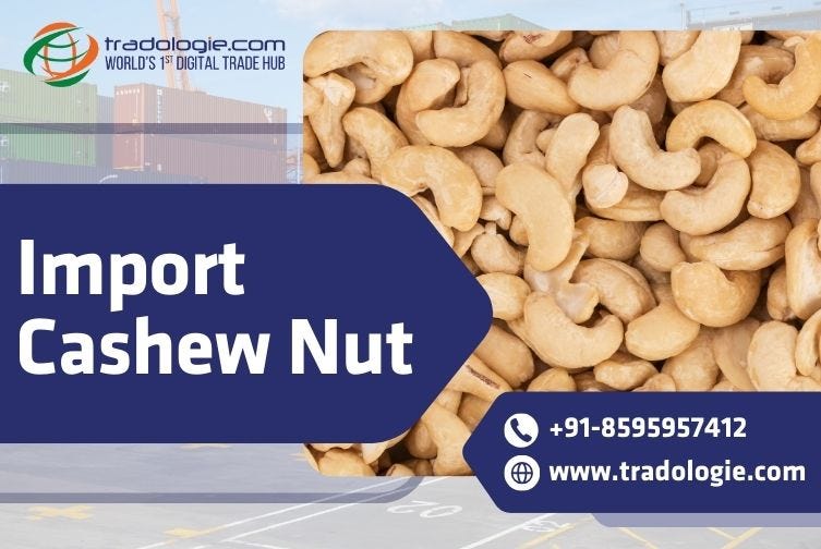 Import Cashew Nut - Tradologie - Medium