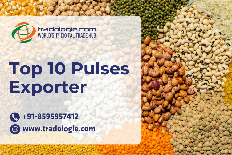 Top 10 Pulses Exporter - Tradologie - Medium