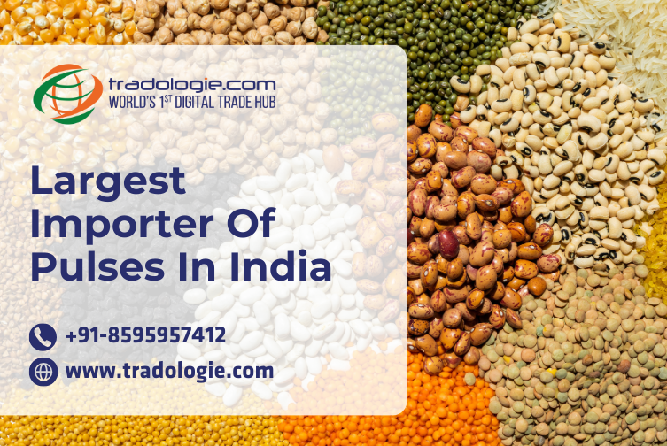 Largest Importer of pulses in india - Tradologie - Medium