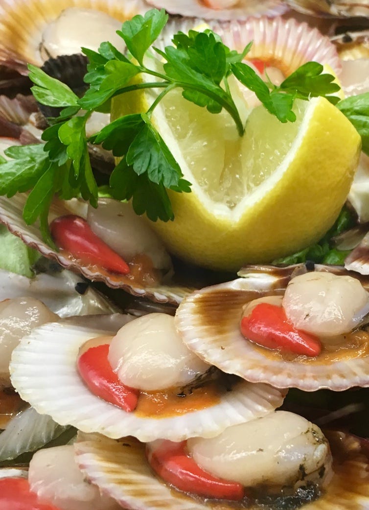 On Camino de Santiago, Priest Enraged With Woman’s Bad Behavior | by ...