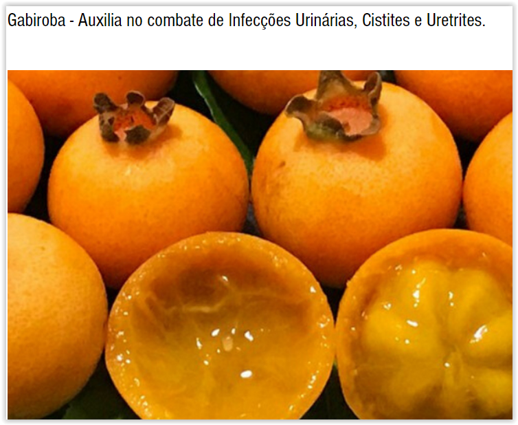 Gabiroba. Fruto de nome cientifico Campomanesia… | by dr.leo kahn | Medium