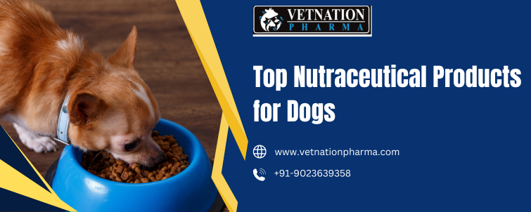 Top Nutraceutical Products for Dogs | by Vetnation Pharma | Medium