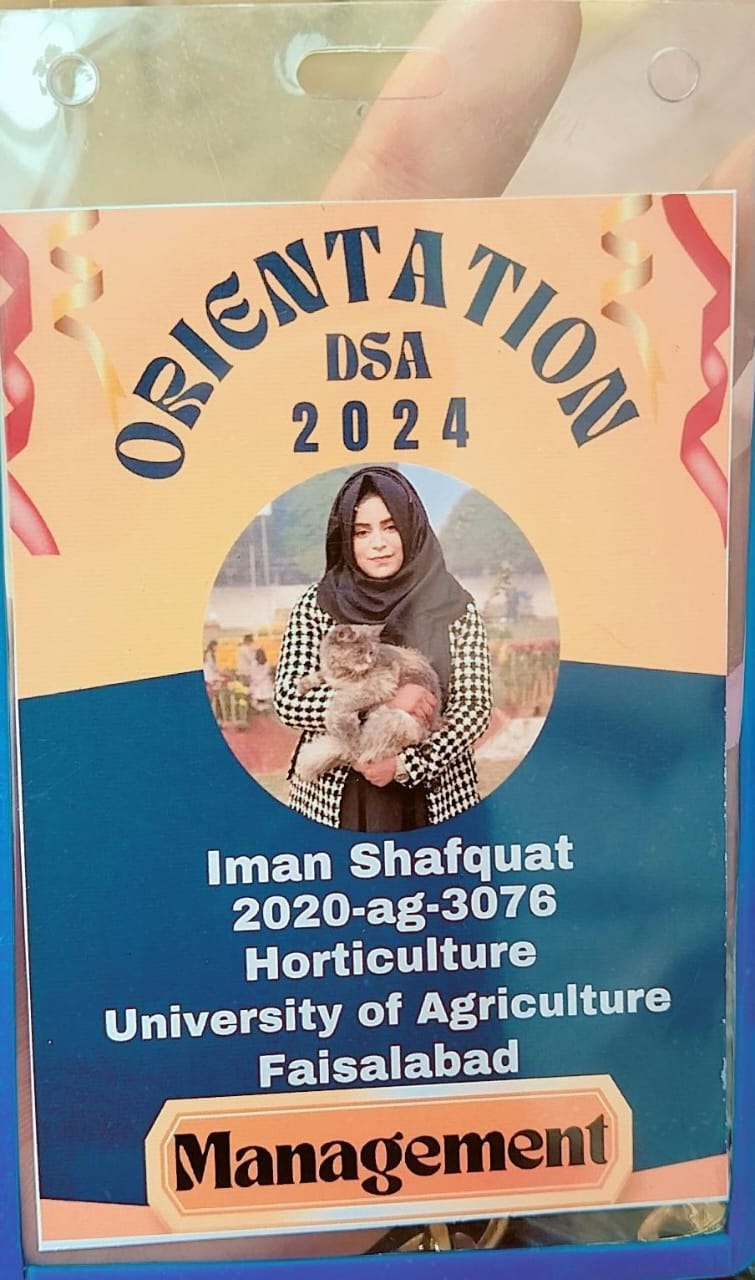 Amal’s Positive reflection. Scenario of my Positive reflection: | by Imanshafquat | Oct, 2024 ...