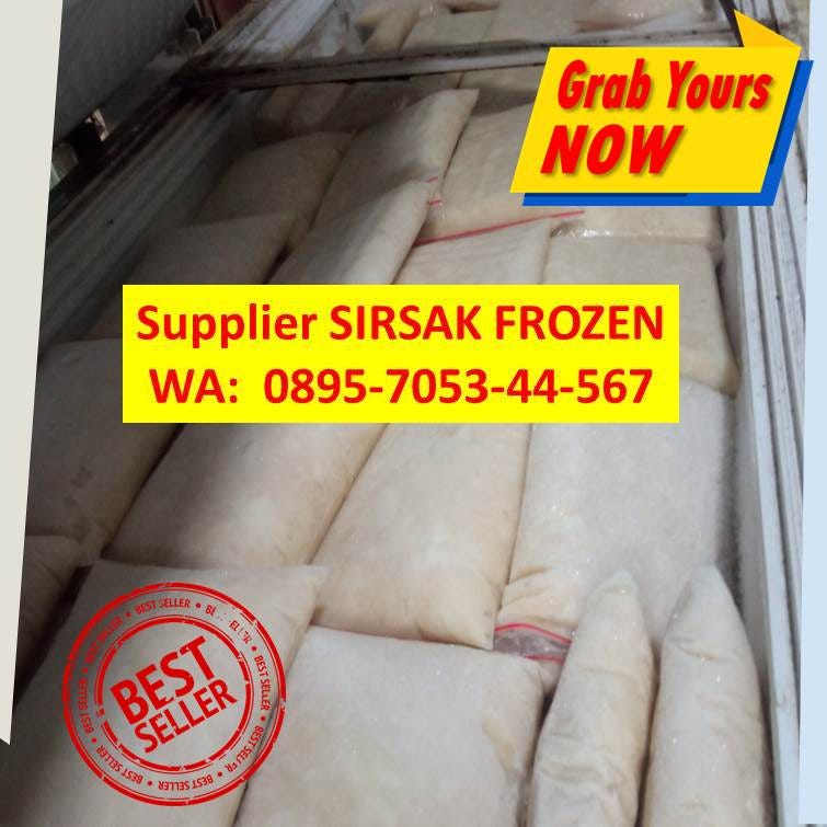 WA: 0895–7053–44–567, Sirsak Frozen Tangerang di Sanur — Bali ...