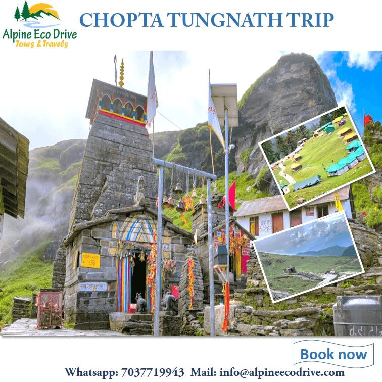 Chopta Tungnath | by Alpine Eco Drive | May, 2023 | Medium