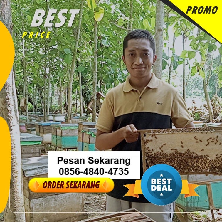 CALL 0856–4840–4735 Pusat Supplier Madu Sarang Asli Murah ... CALL 0856–4840–4735 Pusat Supplier Madu Sarang Asli Murah ...