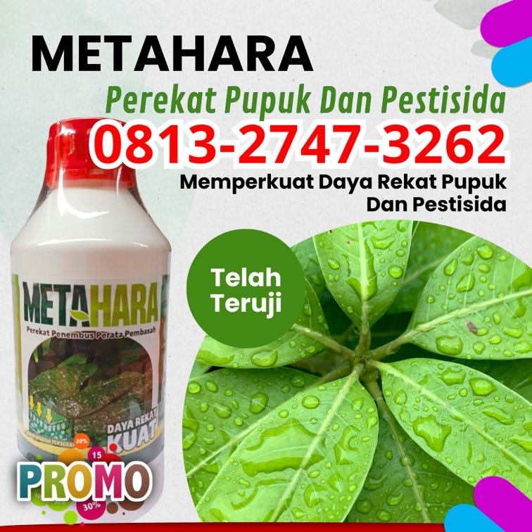 100% AMAN! 0813–2747–3262, GROSIR Perekat Pestisida Sumenep, Perekat ...