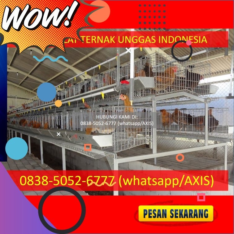 0838–5052–6777 — Supliyer Kandang Baterai Ayam Petelur Kabupaten Brebes | by Supliyer Ternak ...
