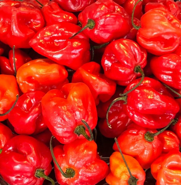 Hot Stuff! Foods to Avoid If You Have Hot Flashes | by Leslie ...